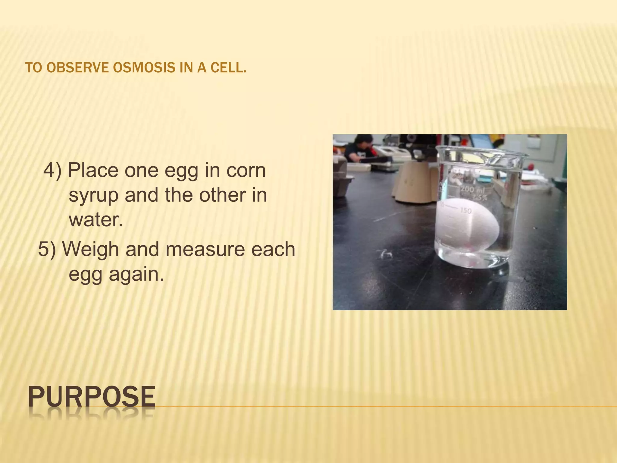 Liyanah's Egg Osmosis Experiment | PPT