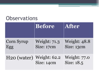 Paige's Egg osmosis experiment | PPTX