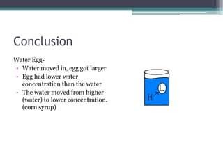 Paige's Egg osmosis experiment | PPTX
