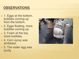 Liyanah's Egg osmosis experiment | PPTX