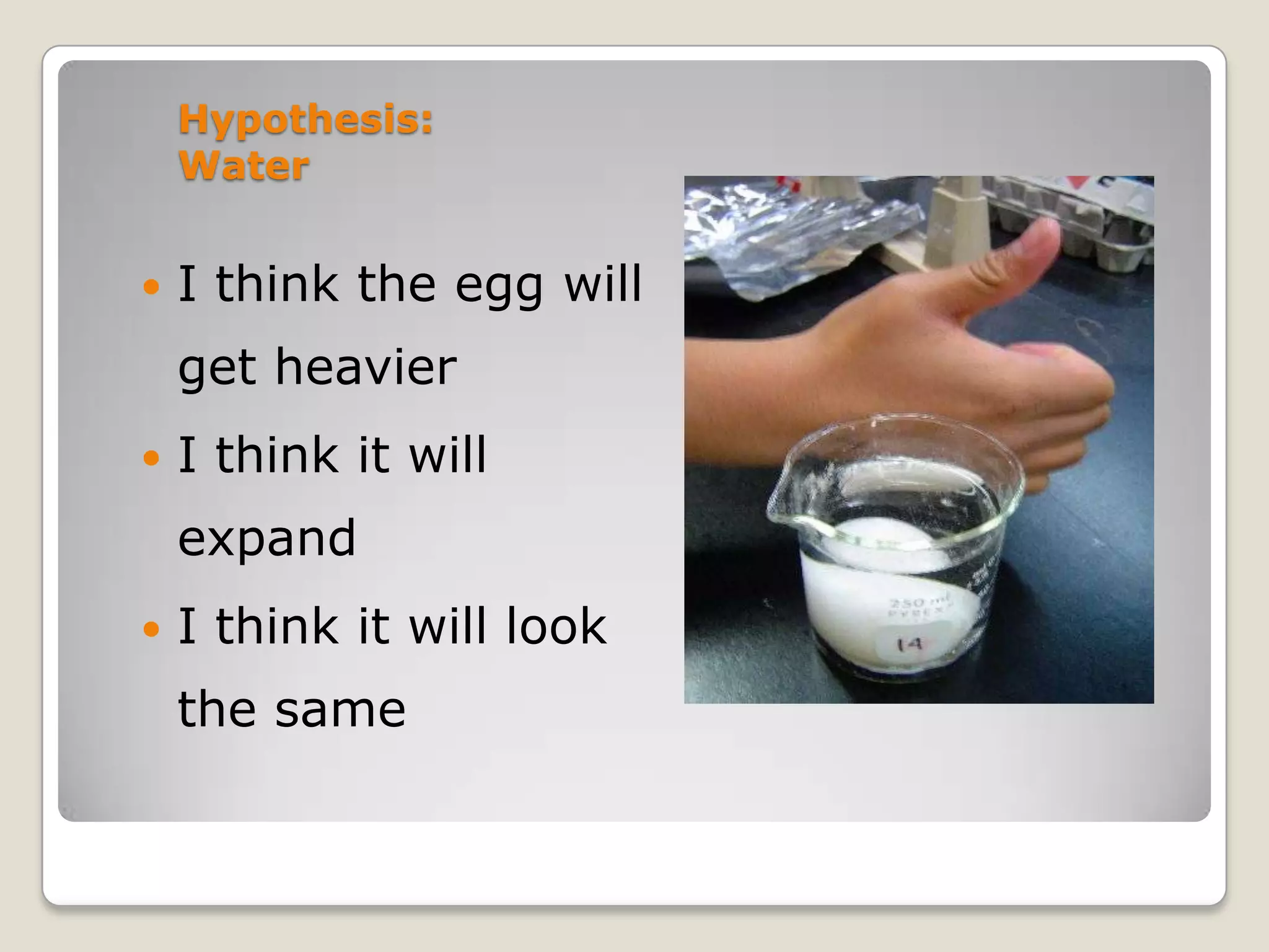 Elijah's Egg osmosis experiment | PPT
