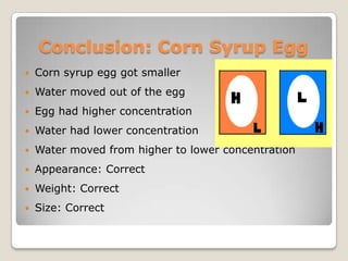 Elijah's Egg osmosis experiment | PPT