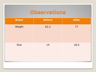 Elijah's Egg osmosis experiment | PPT