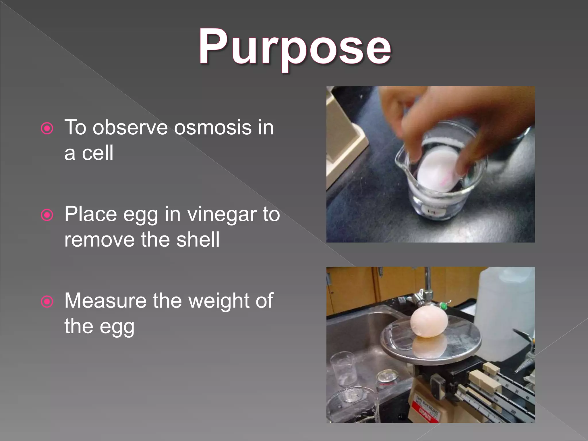 Oudorn Egg Osmosis Experiment.pptx