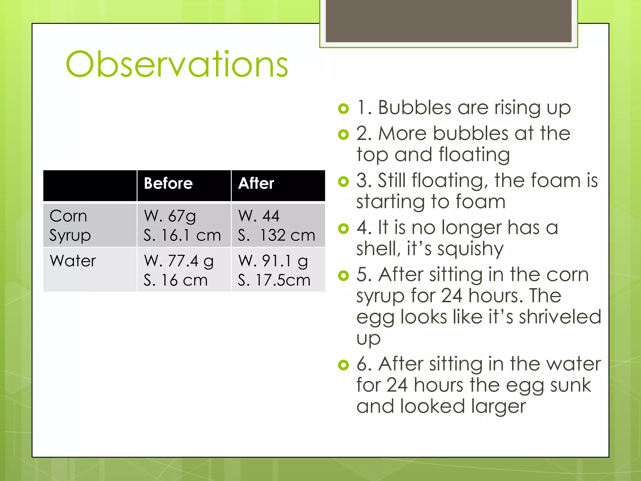 Egg osmosis experiment | PPT