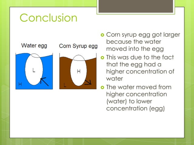 Egg osmosis experiment | PPT