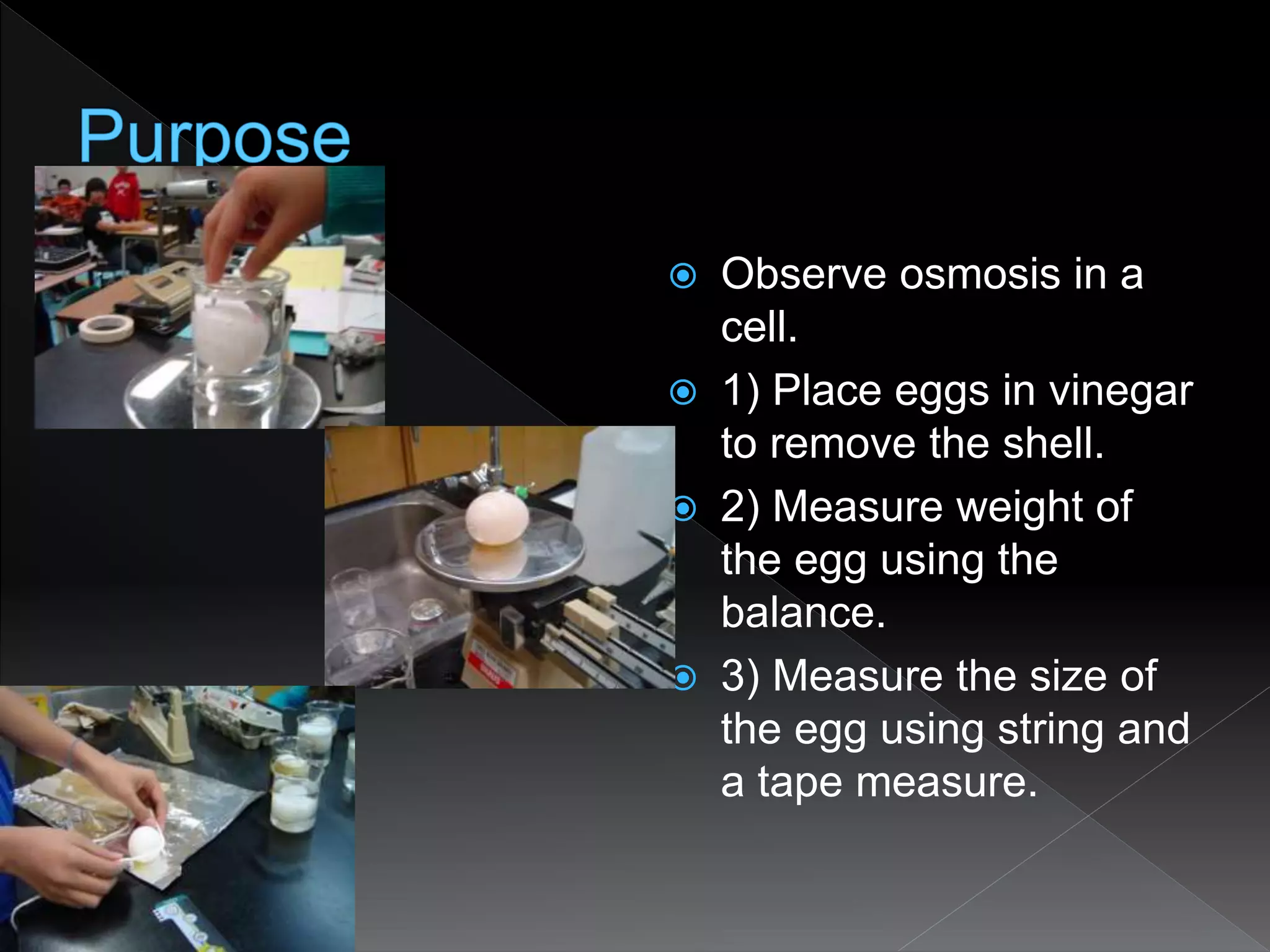 Egg osmosis experiment | PPT
