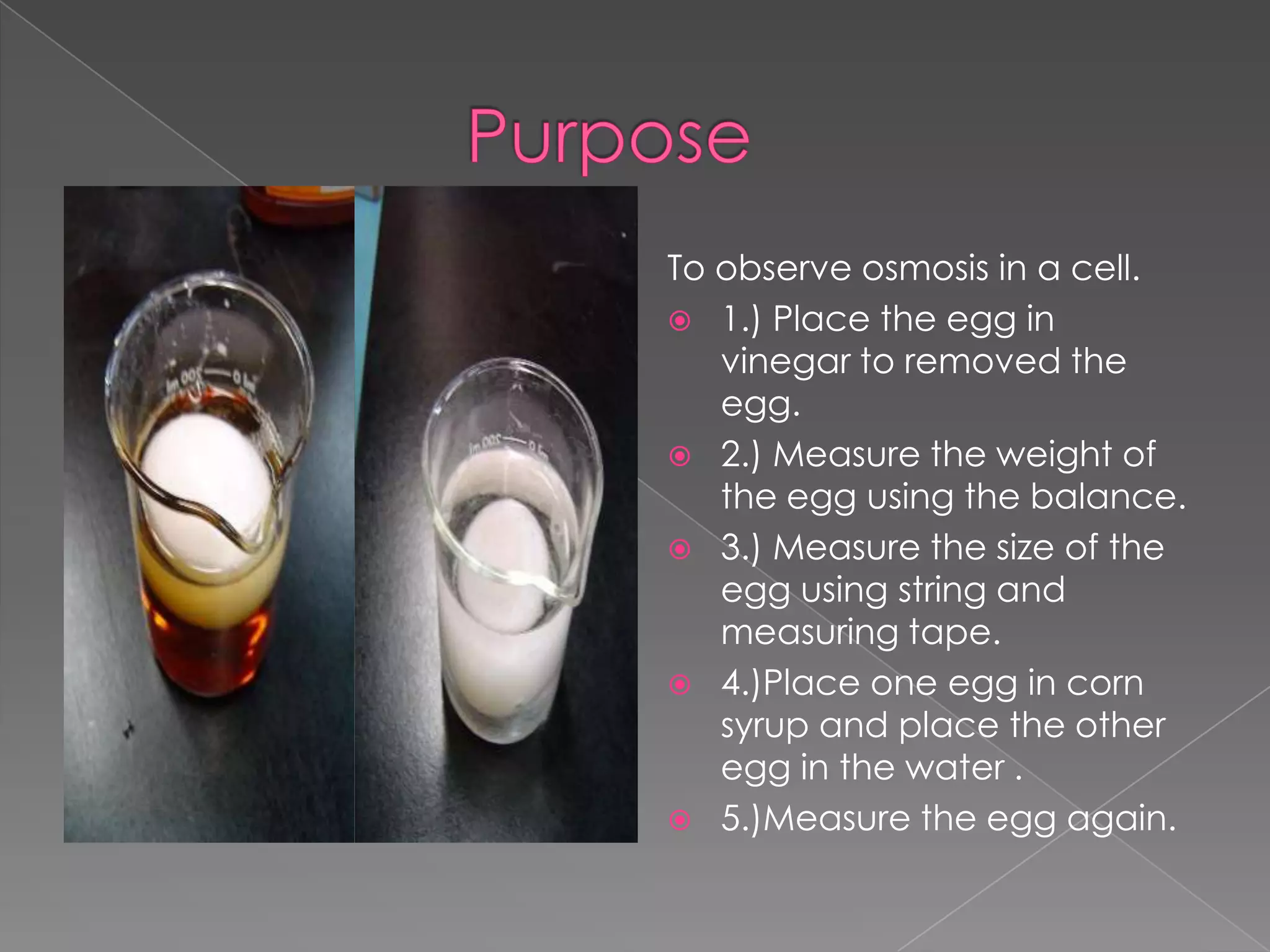 Egg osmosis experiment | PPT