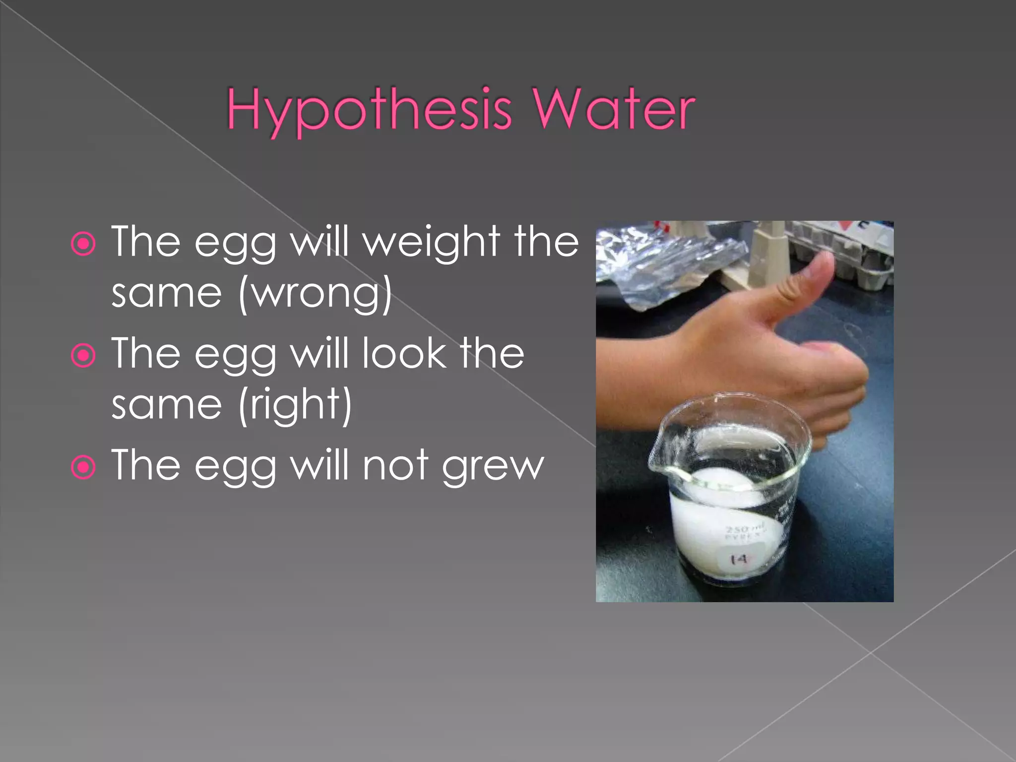 Egg osmosis experiment | PPT