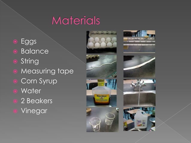Egg osmosis experiment | PPT