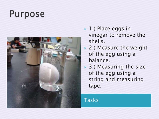 Amiel's Egg osmosis experiment | PPT