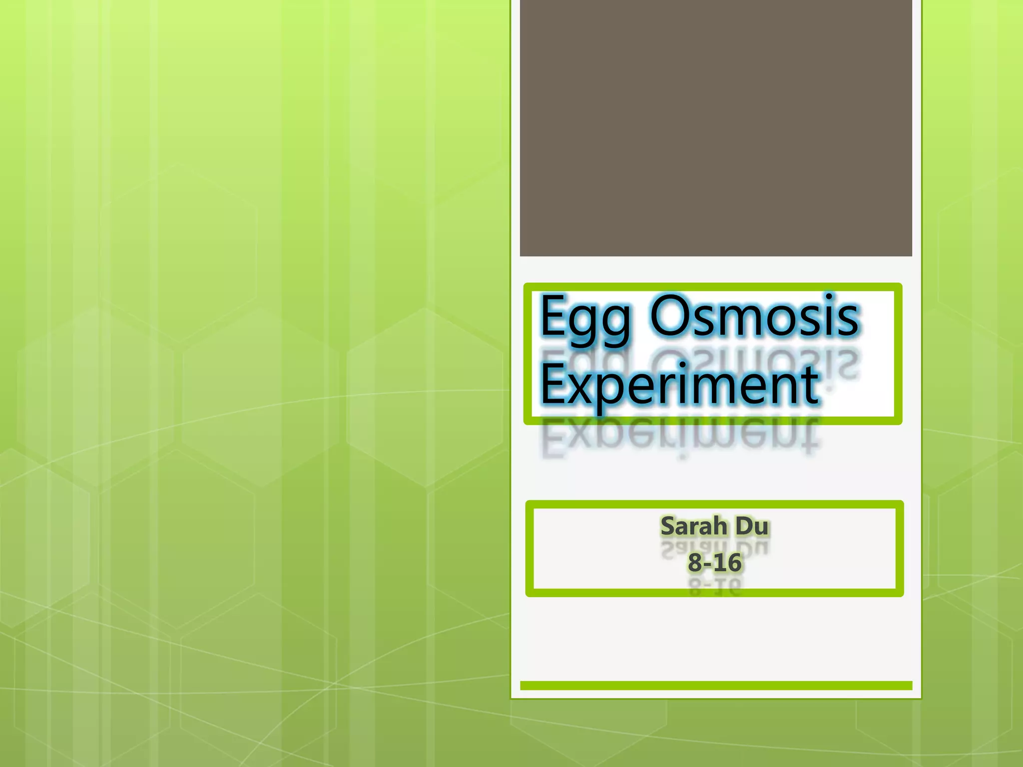 Egg osmosis experiment | PPT