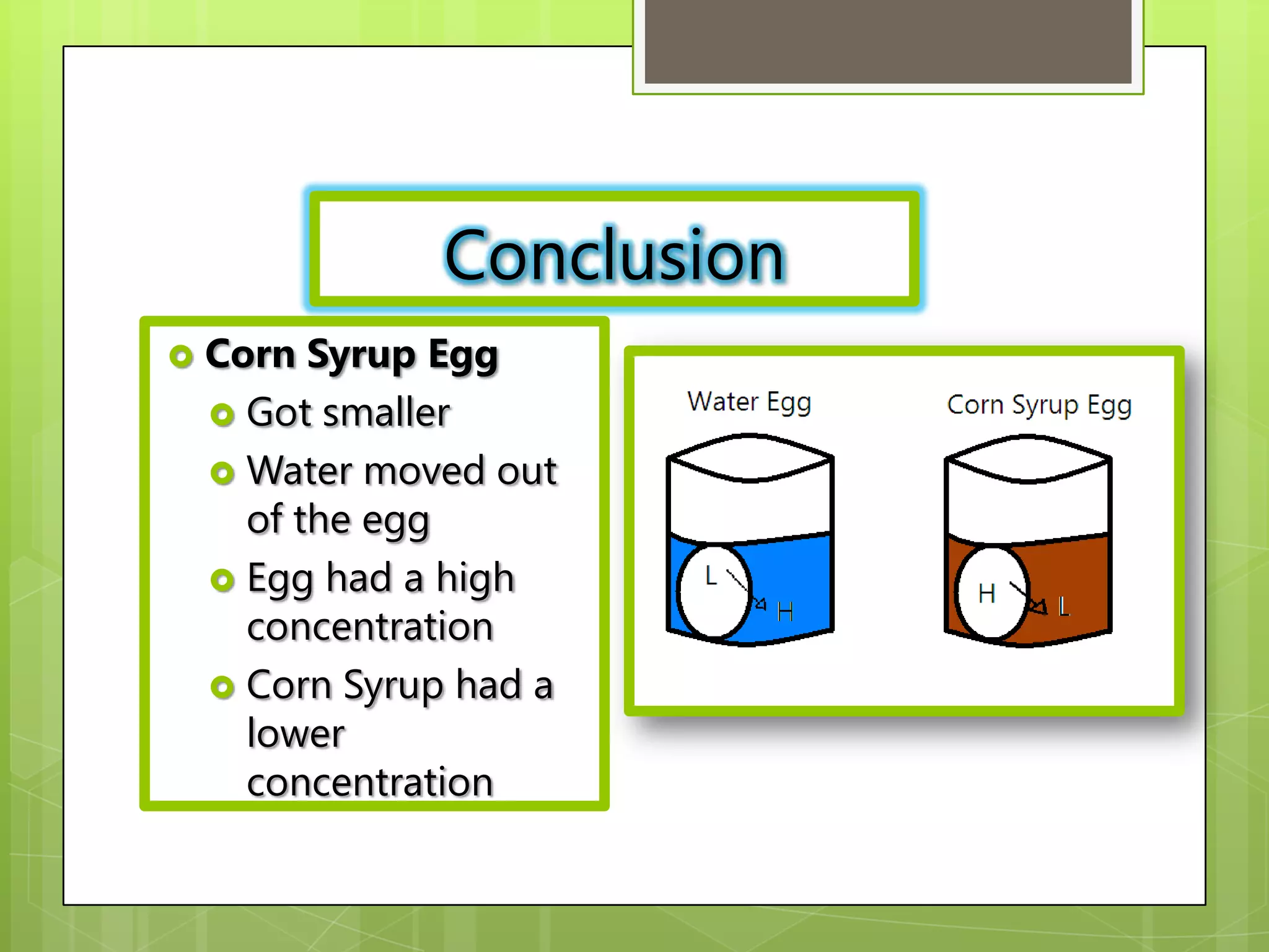 Egg osmosis experiment | PPTX