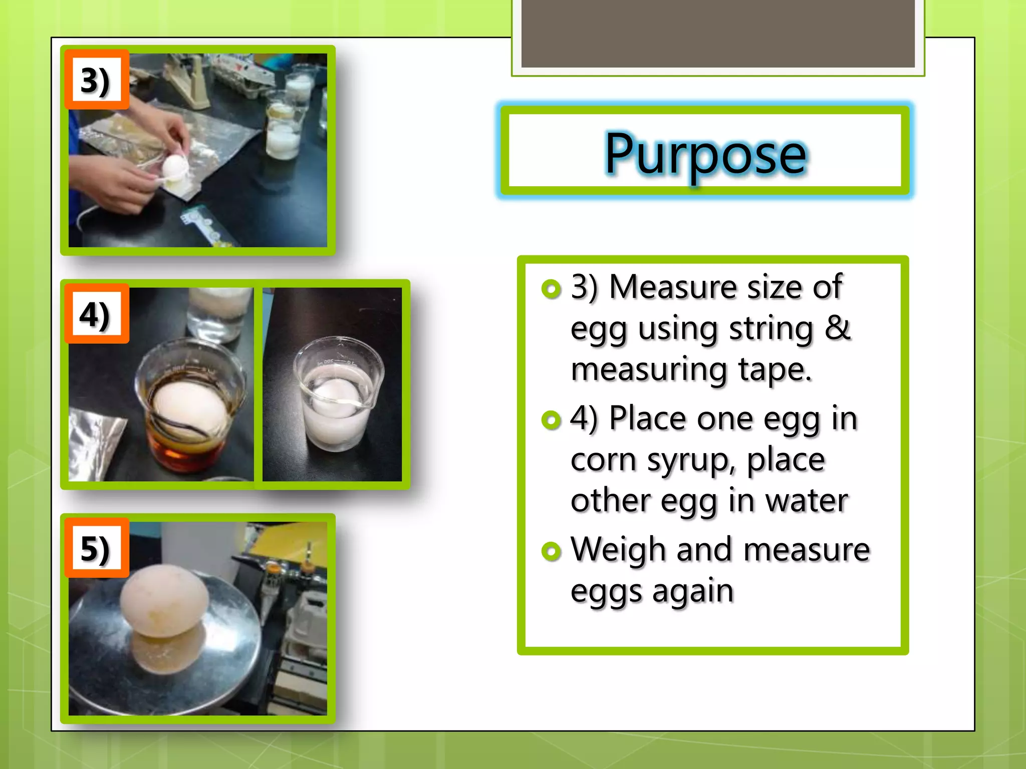 Egg osmosis experiment | PPT