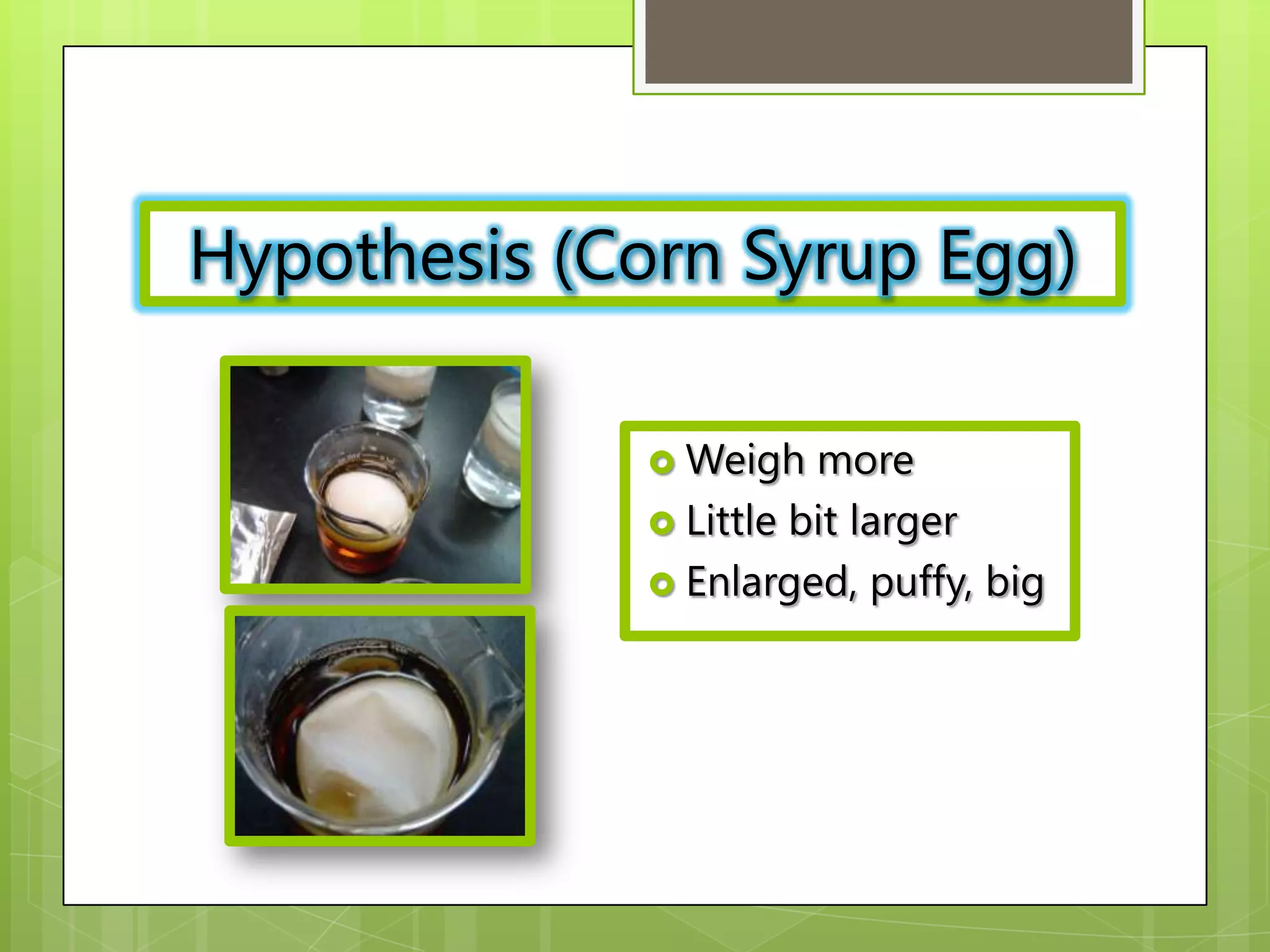 Egg osmosis experiment | PPTX