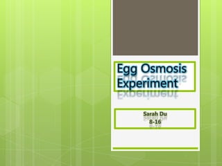 Egg osmosis experiment | PPT