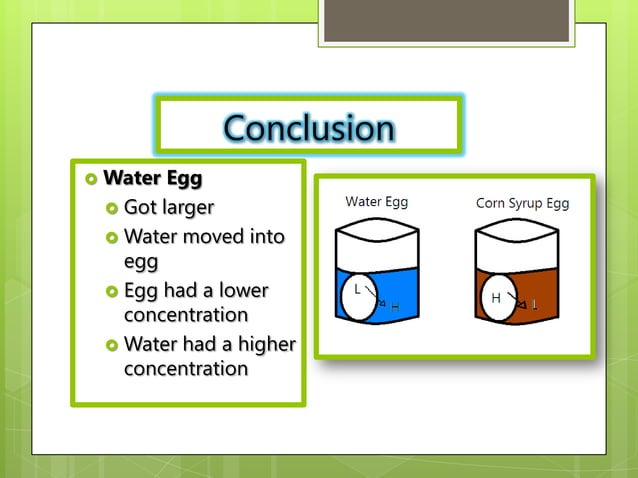 Egg osmosis experiment | PPT