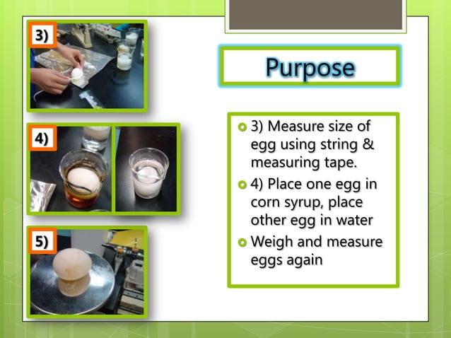 Egg osmosis experiment | PPT