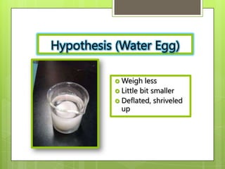 Egg osmosis experiment | PPTX