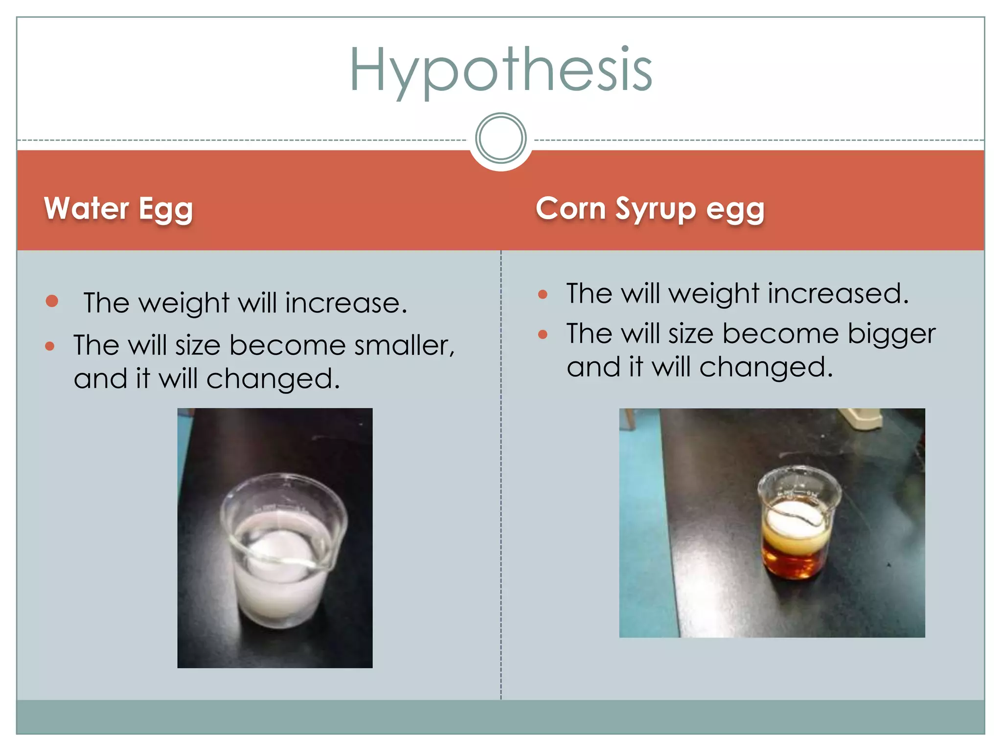 Egg osmosis experiment | PPT