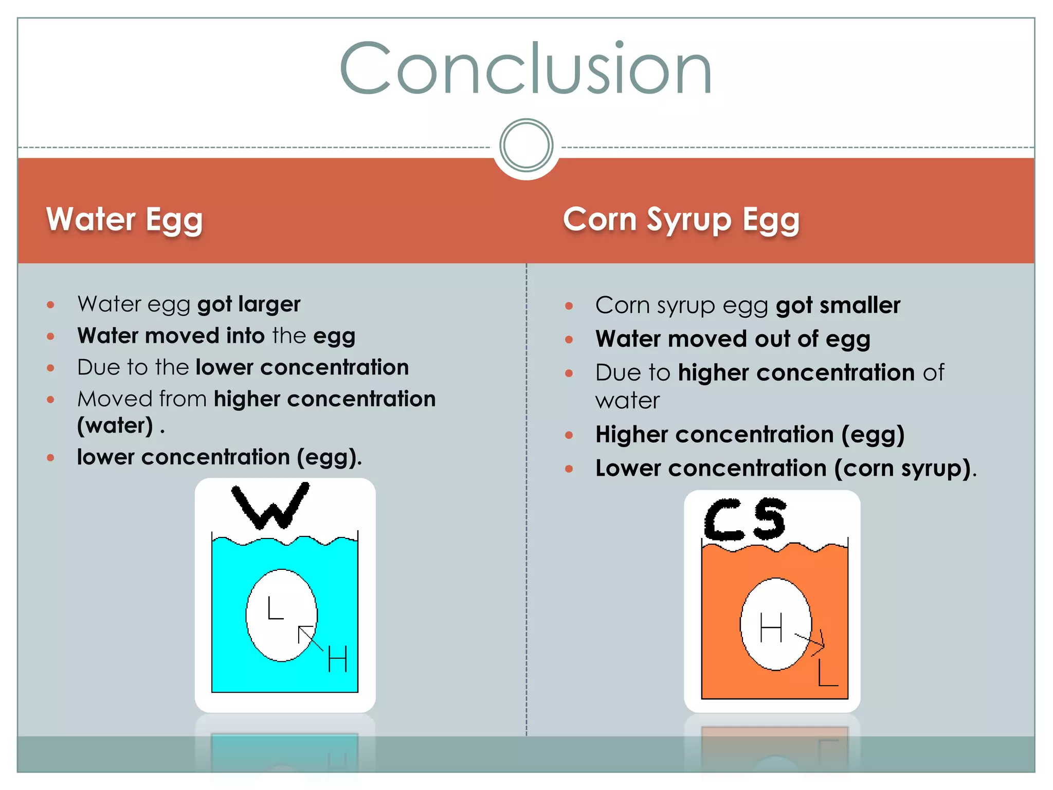 Egg osmosis experiment | PPTX