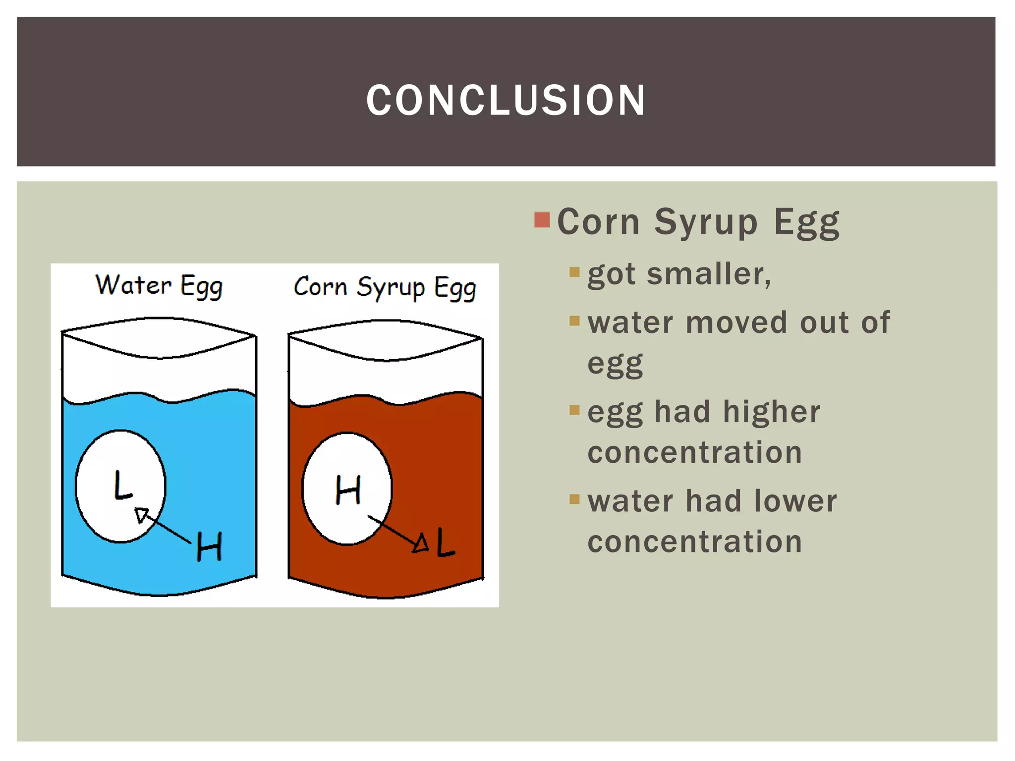 Egg osmosis experiment | PPTX