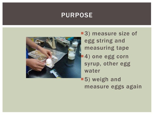 Egg osmosis experiment | PPTX