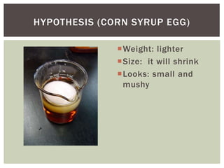 Egg osmosis experiment | PPTX