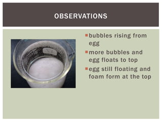Egg osmosis experiment | PPTX