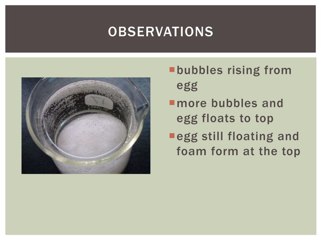 Egg osmosis experiment | PPTX
