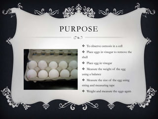 Anmarie Somar 8-16 Egg osmosis experiment | PPTX