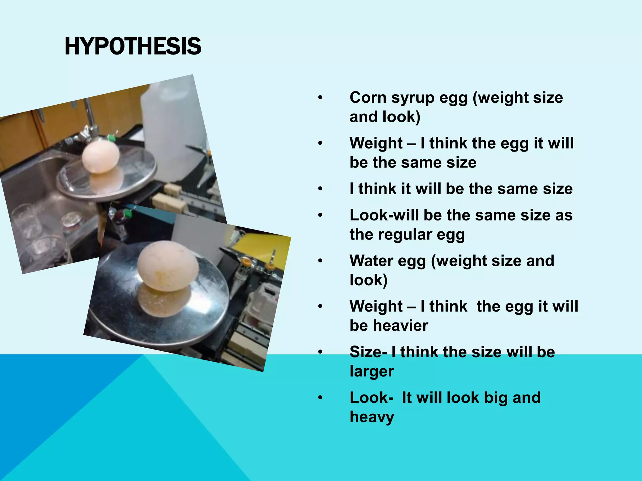 Egg osmosis experiment | PPT