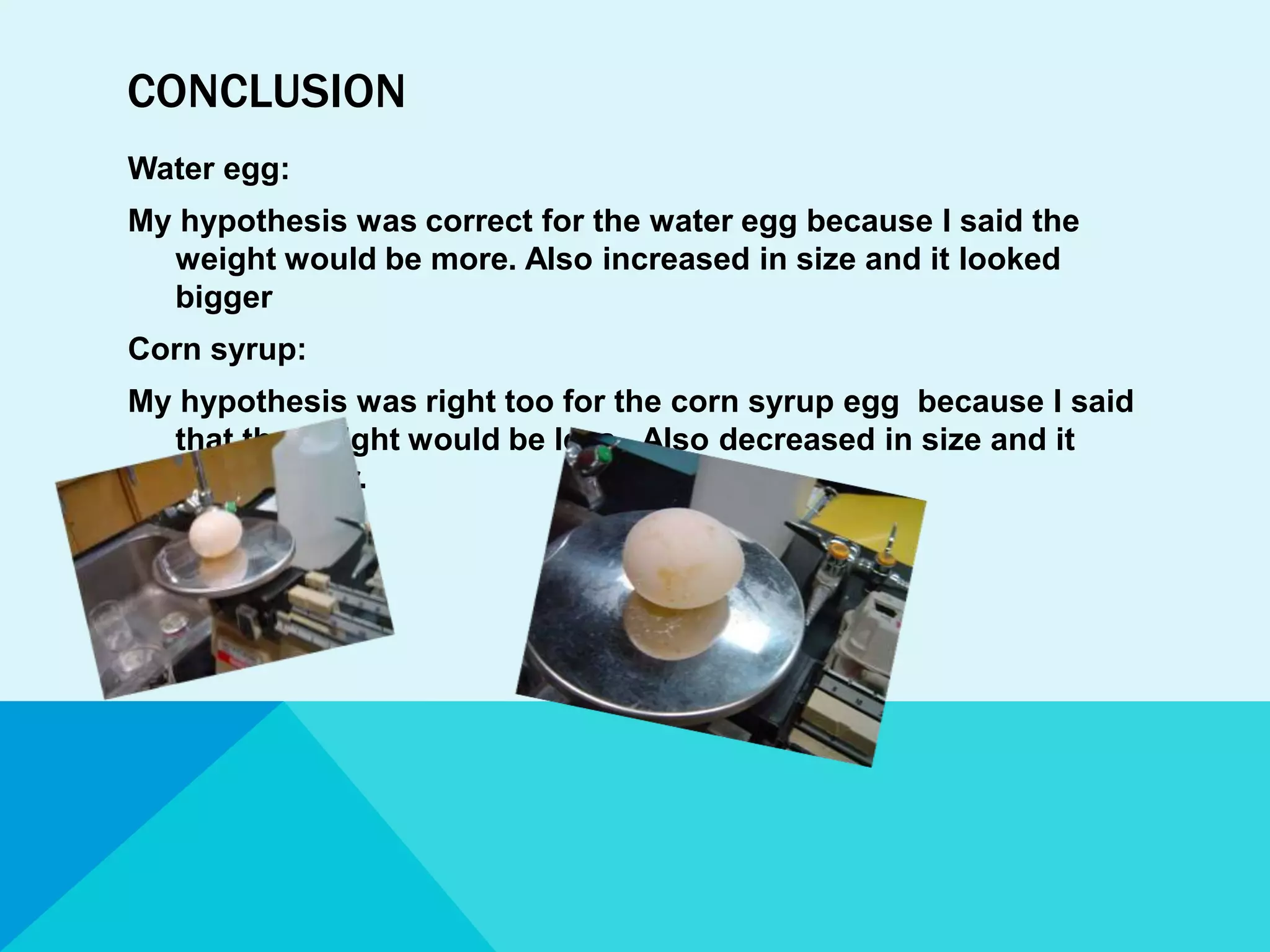 Egg osmosis experiment | PPT