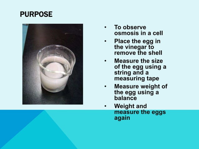 Egg osmosis experiment | PPT