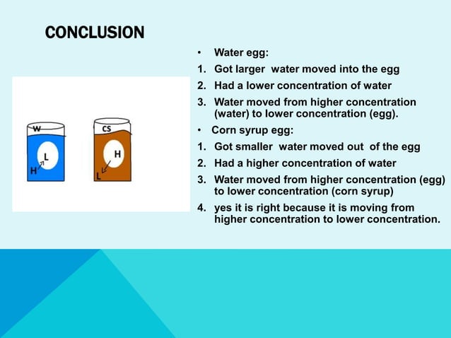 Egg osmosis experiment | PPT