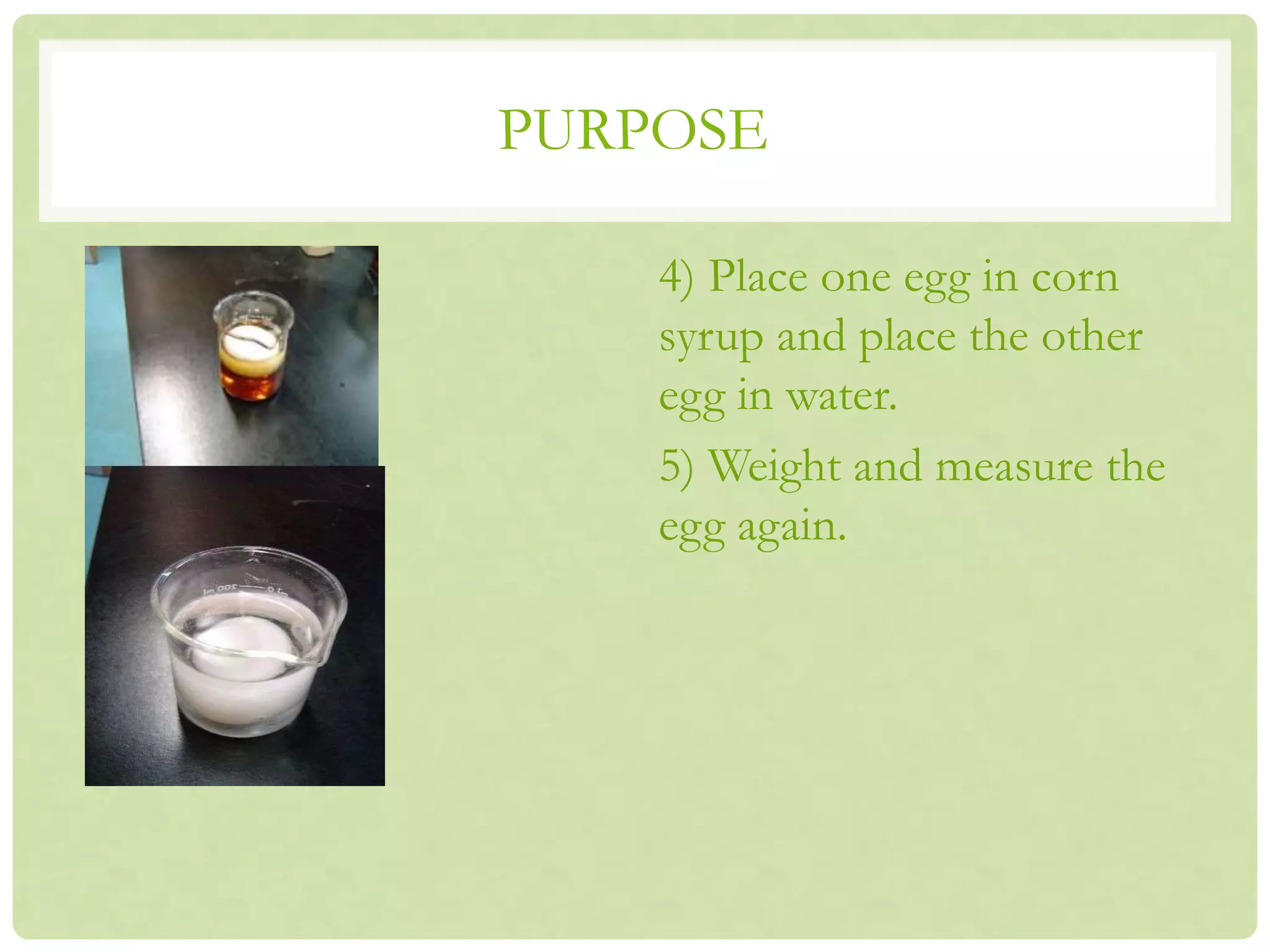 Egg osmosis experiment | PPT