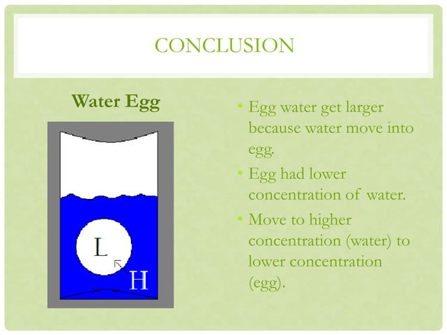 Egg osmosis experiment | PPT