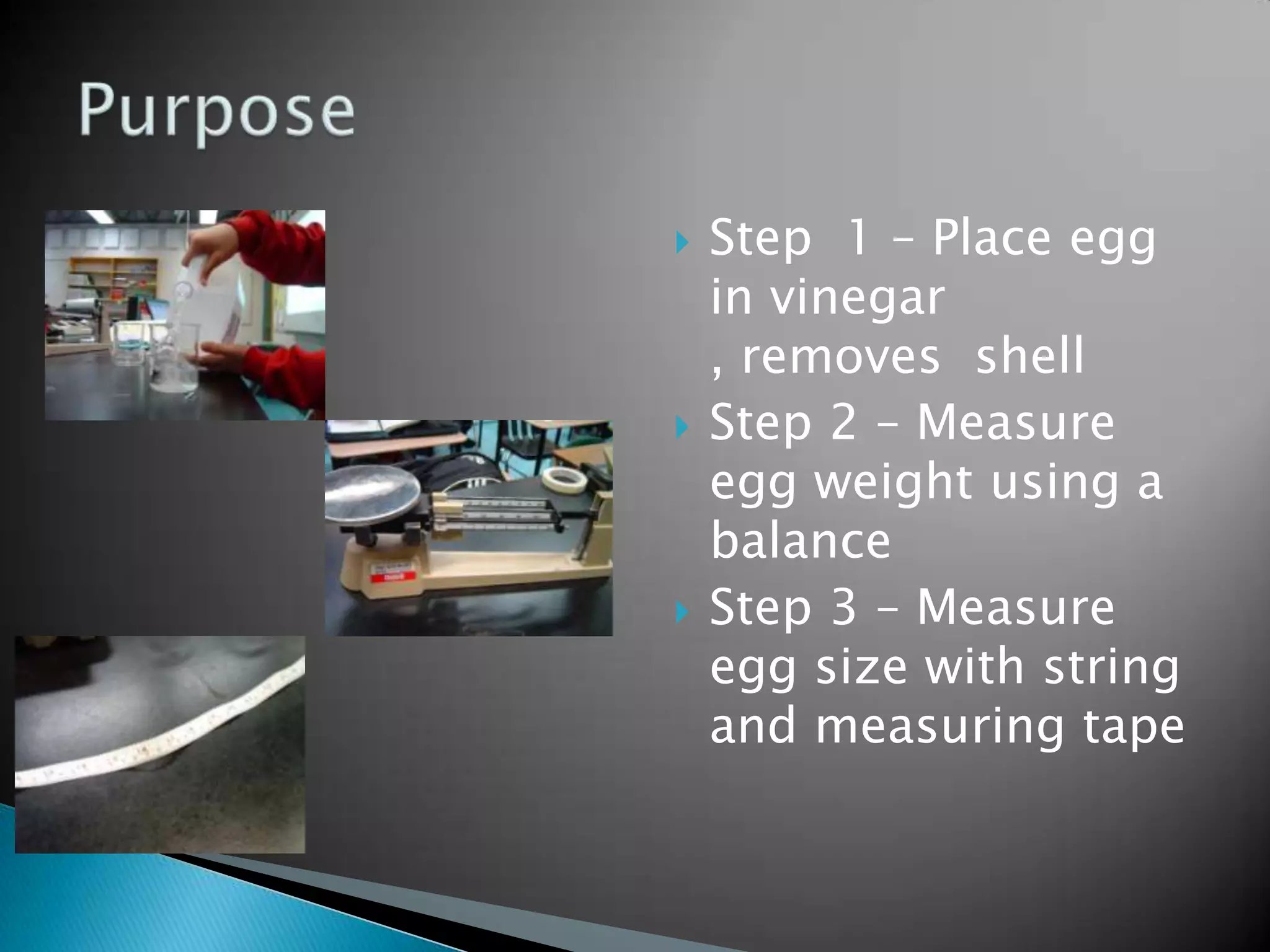 Egg osmosis experiment | PPTX