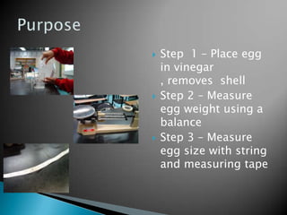 Egg osmosis experiment | PPTX