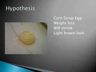 Egg osmosis experiment | PPTX