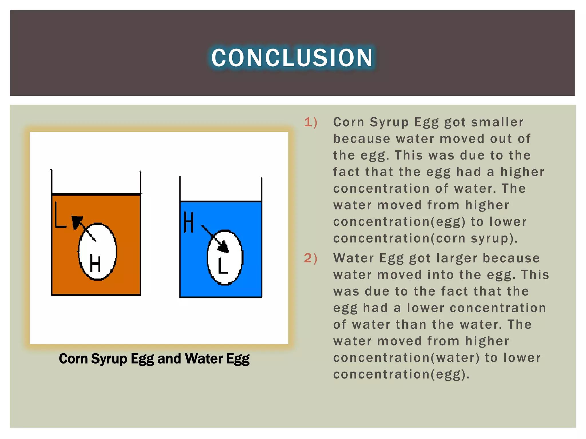 Egg osmosis experiment Jamodin | PPT