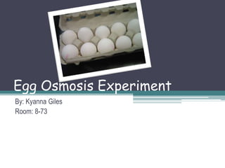 Kyanna Egg osmosis experiment | PPTX