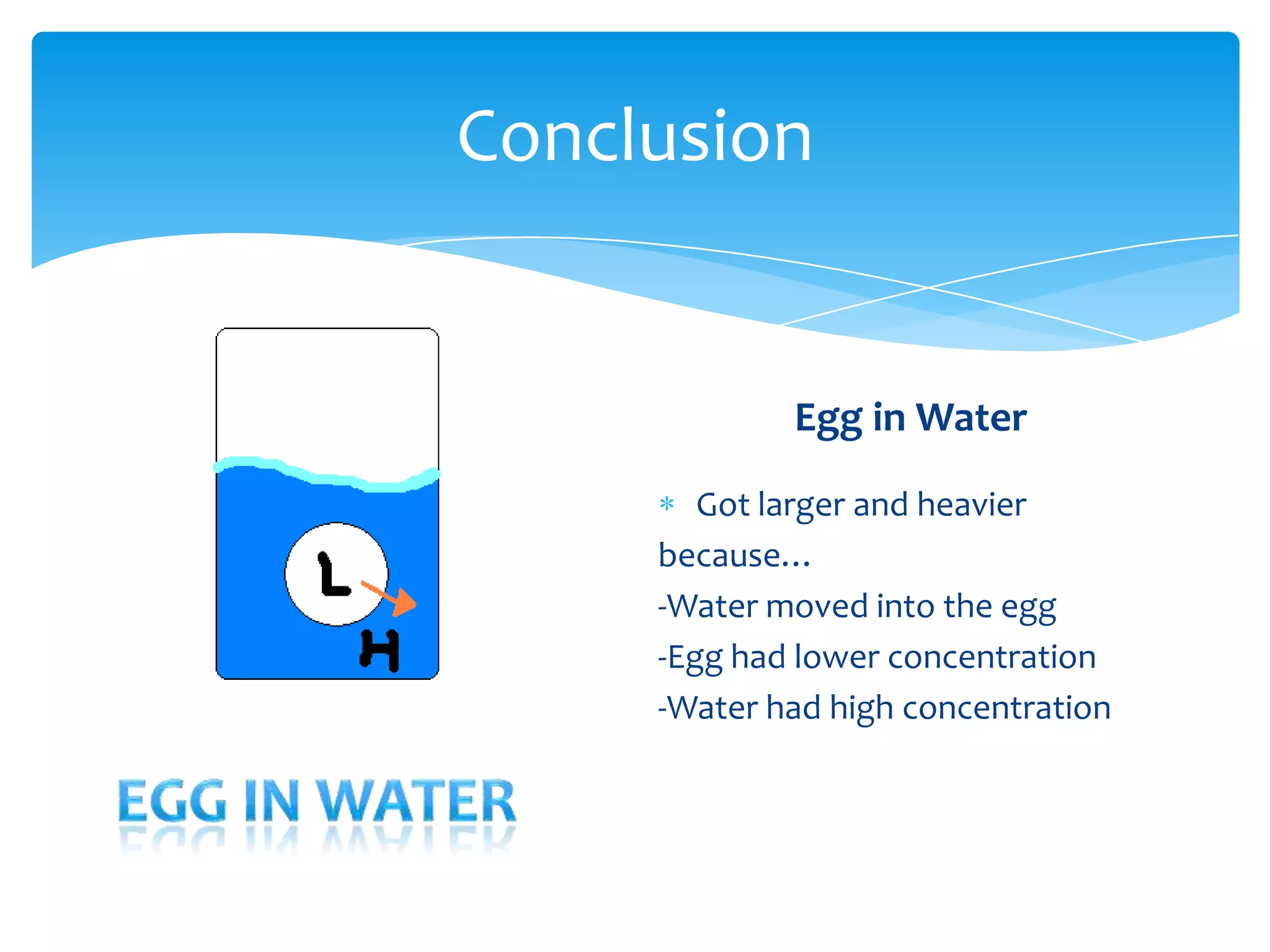 Marielle's Egg osmosis experiment | PPT