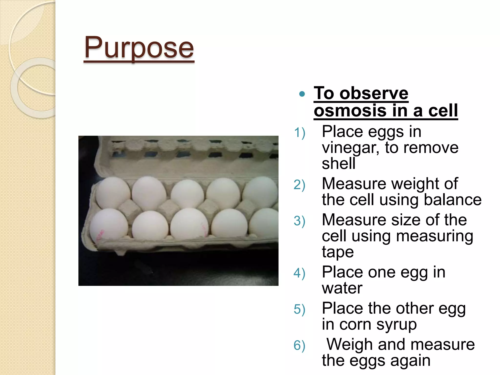 Lance's Egg osmosis experiment | PPTX