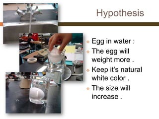 Nicole's Egg Osmosis Experiment | PPTX