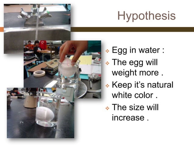 Nicole's Egg Osmosis Experiment | PPT