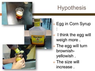 Nicole's Egg Osmosis Experiment | PPTX