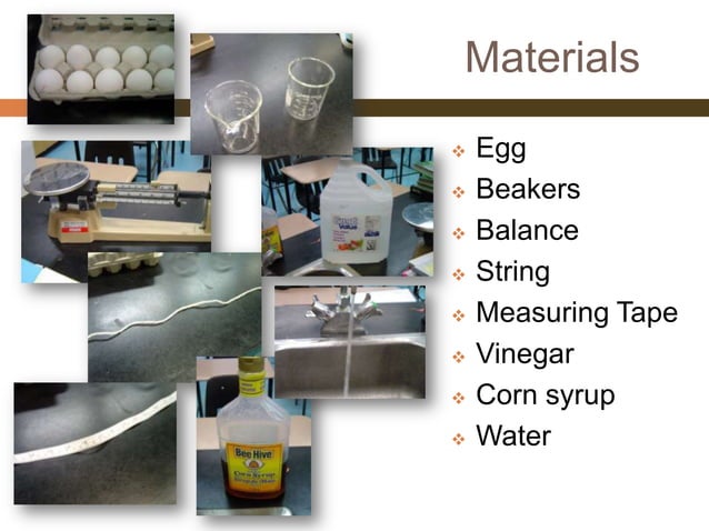 Nicole's Egg Osmosis Experiment | PPT