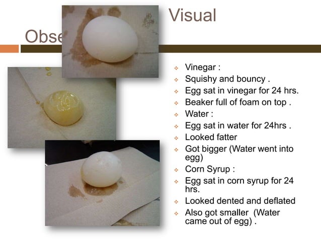 Nicole's Egg Osmosis Experiment | PPT