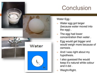 Nicole's Egg Osmosis Experiment | PPTX